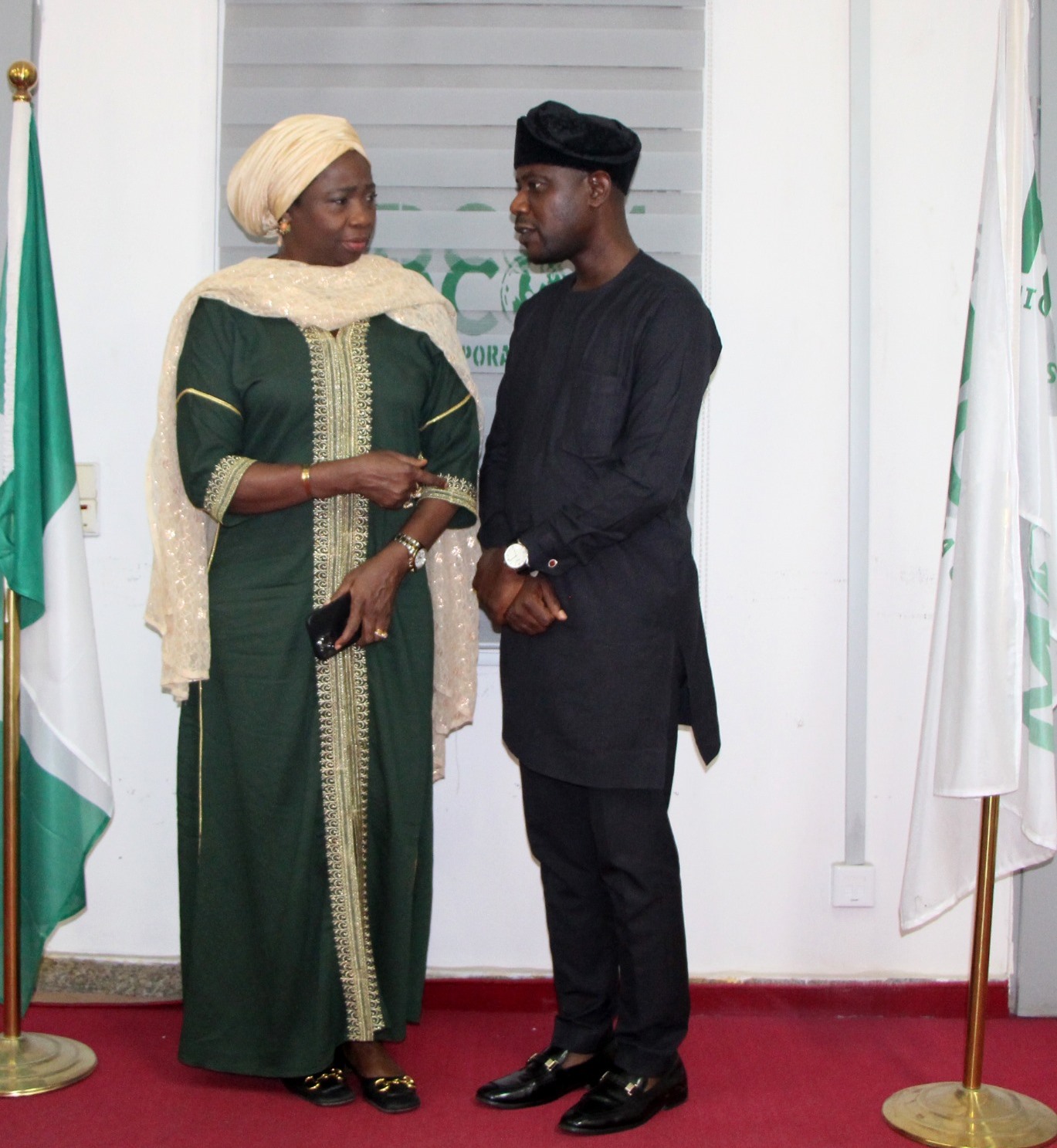 Dabiri-Erewa asks Nigerians to key into Diaspora Housing Projects